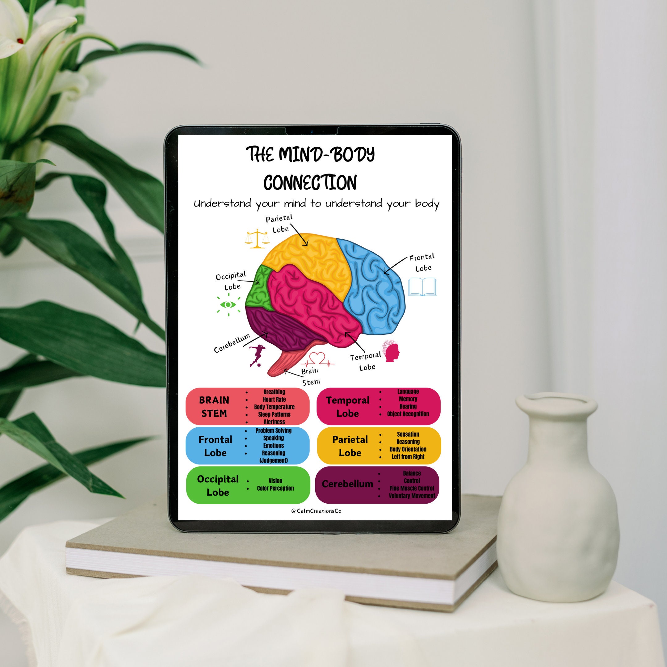 Mind Body Connection Poster, Brain Anatomy Print, Therapy Office Decor ...