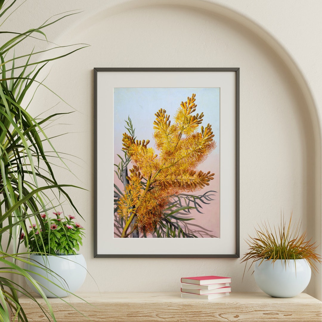 WA Christmas Tree Printable Instant Download 1800s Vintage Australian ...