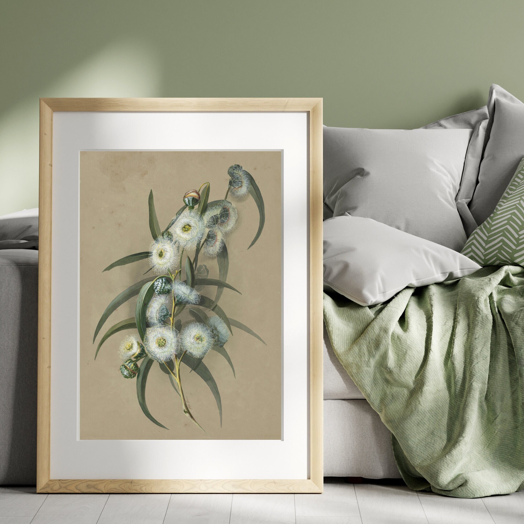 Tasmanian Blue Gum Printable – Instant Download – 1800s Vintage ...