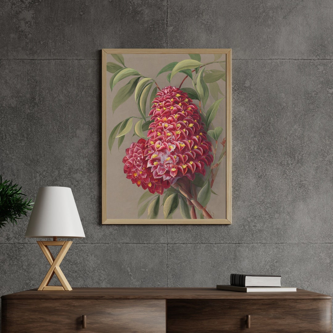 Pineapple Ginger Printable – instant Download – 1800s Vintage ...