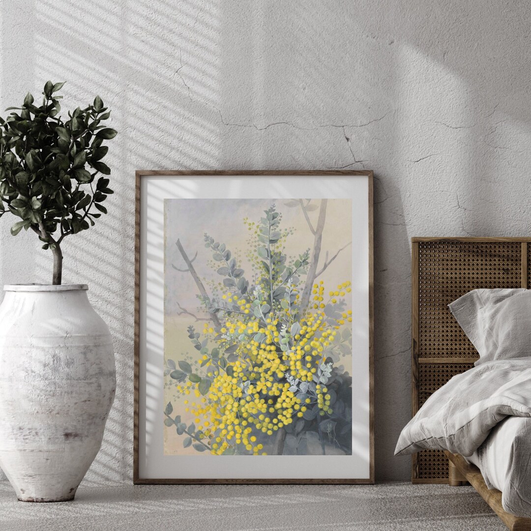 Queensland Silver Wattle Printable Instant Download Vintage Australian ...