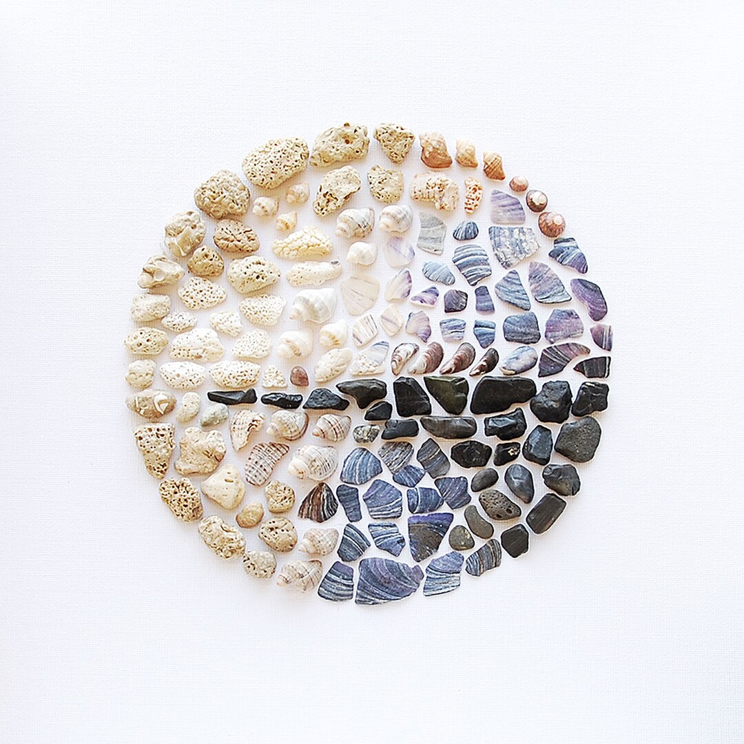 Natural Beach Shells and Stone Art, Handcrafted Coastal Collage Wall ...