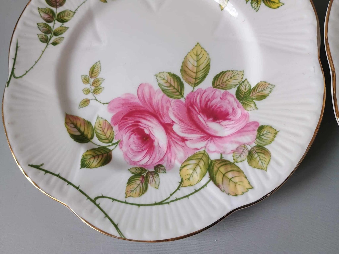 RARE Shelley Rambler Rose With Gold 367 SET of 2 Cake Plates D-16,5 Cm ...