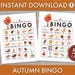Printable Autumn BINGO | Fall-themed Game, Instant Download, Harvest ...
