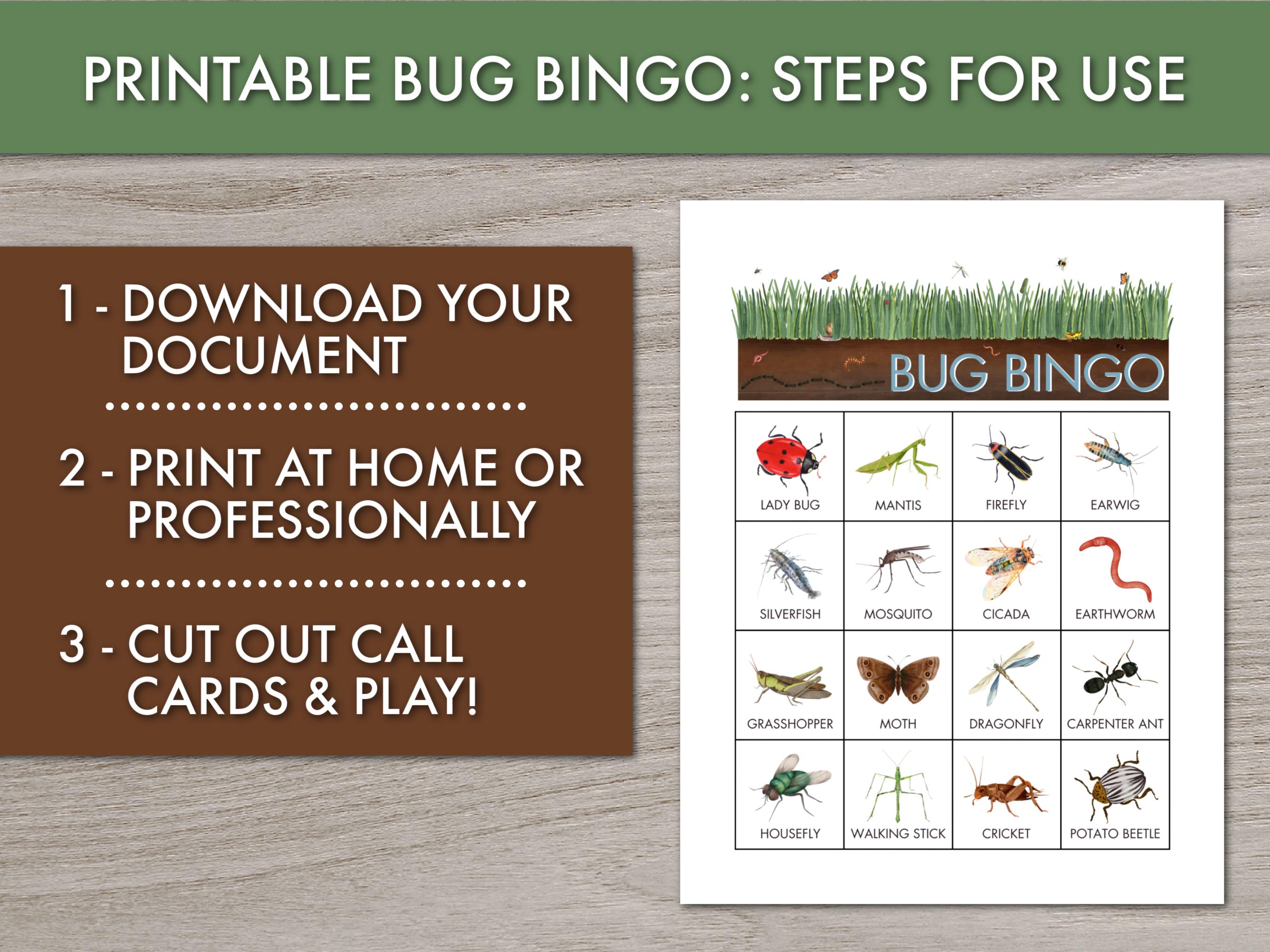 Printable Preschool Bug BINGO | Kids Insect-themed Party Game, 4x4 Grid ...
