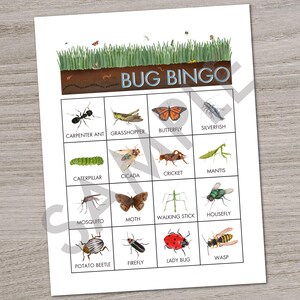 Printable Preschool Bug BINGO | Kids Insect-themed Party Game, 4x4 Grid ...