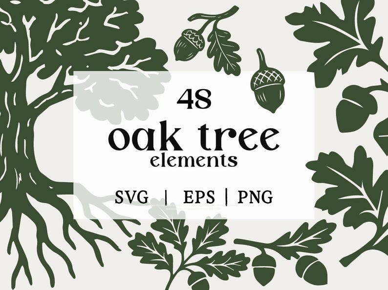 Oak Tree SVG Bundle | Acorn, Leaf and Tree Clipart, Folklore PNG & EPS ...