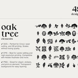 Oak Tree SVG Bundle | Acorn, Leaf and Tree Clipart, Folklore PNG & EPS ...