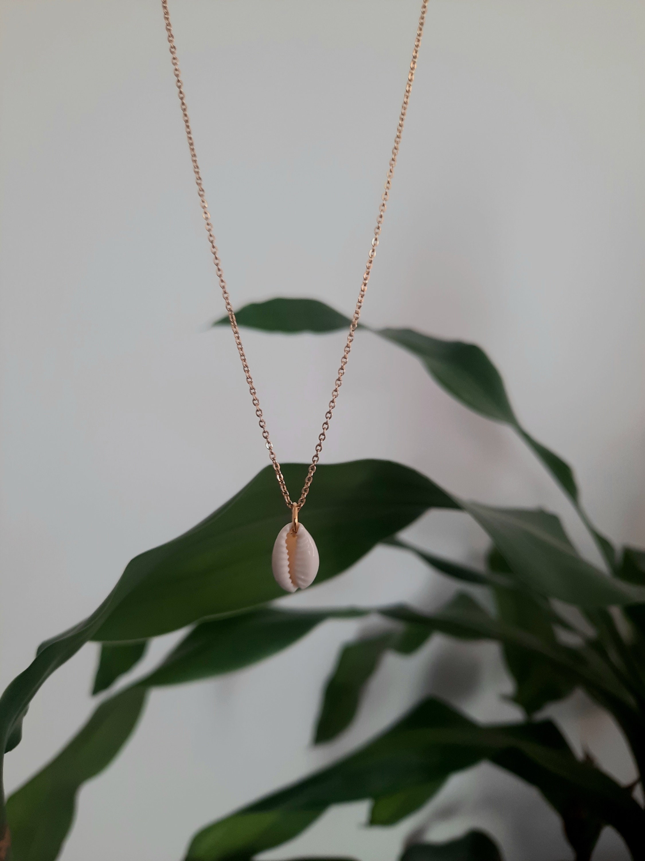 Cowrie Sea Shell Necklace, White Conch Seashell Necklace, Natural Sea ...