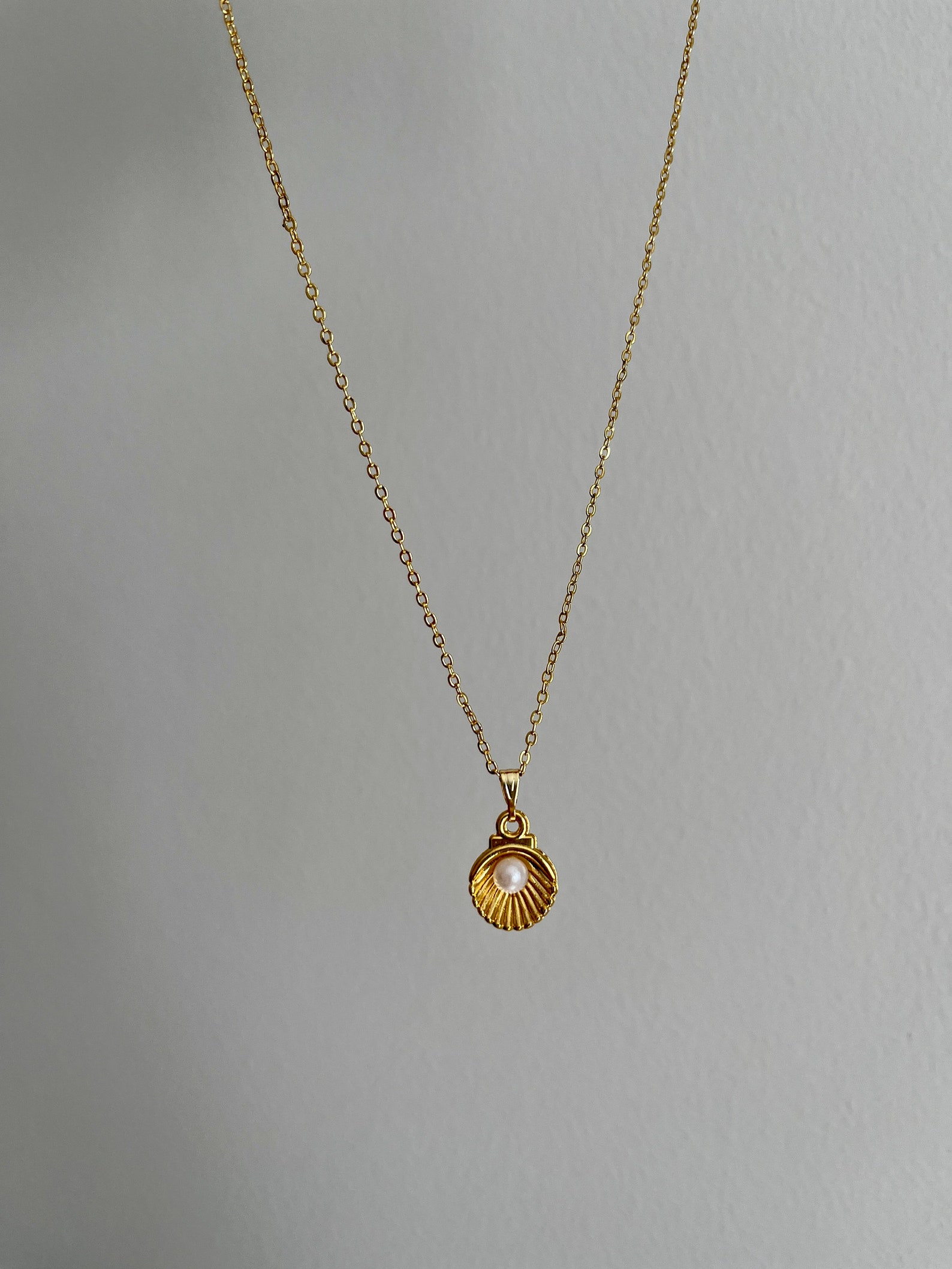 Oyster With Pearl Necklace, Clam Shell Necklace, Small Pearl Oyster ...