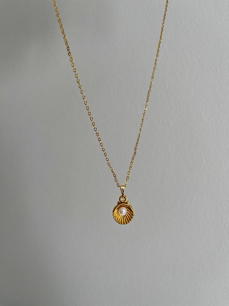 Oyster With Pearl Necklace, Clam Shell Necklace, Small Pearl Oyster ...