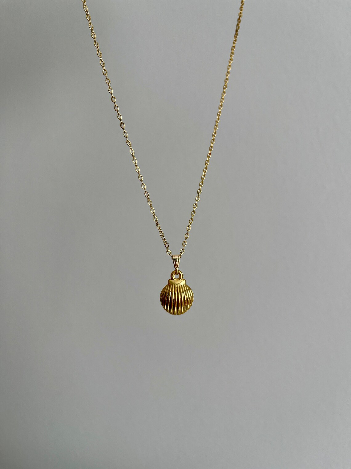 Oyster With Pearl Necklace, Clam Shell Necklace, Small Pearl Oyster ...