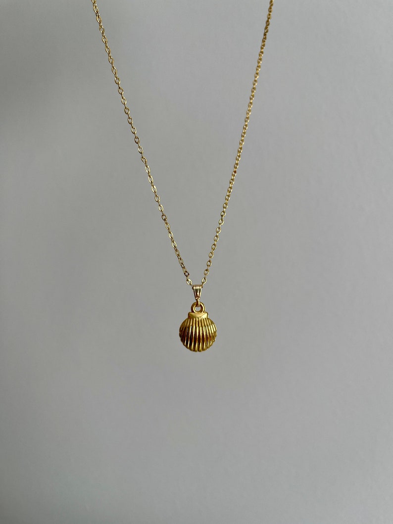 Oyster With Pearl Necklace, Clam Shell Necklace, Small Pearl Oyster ...