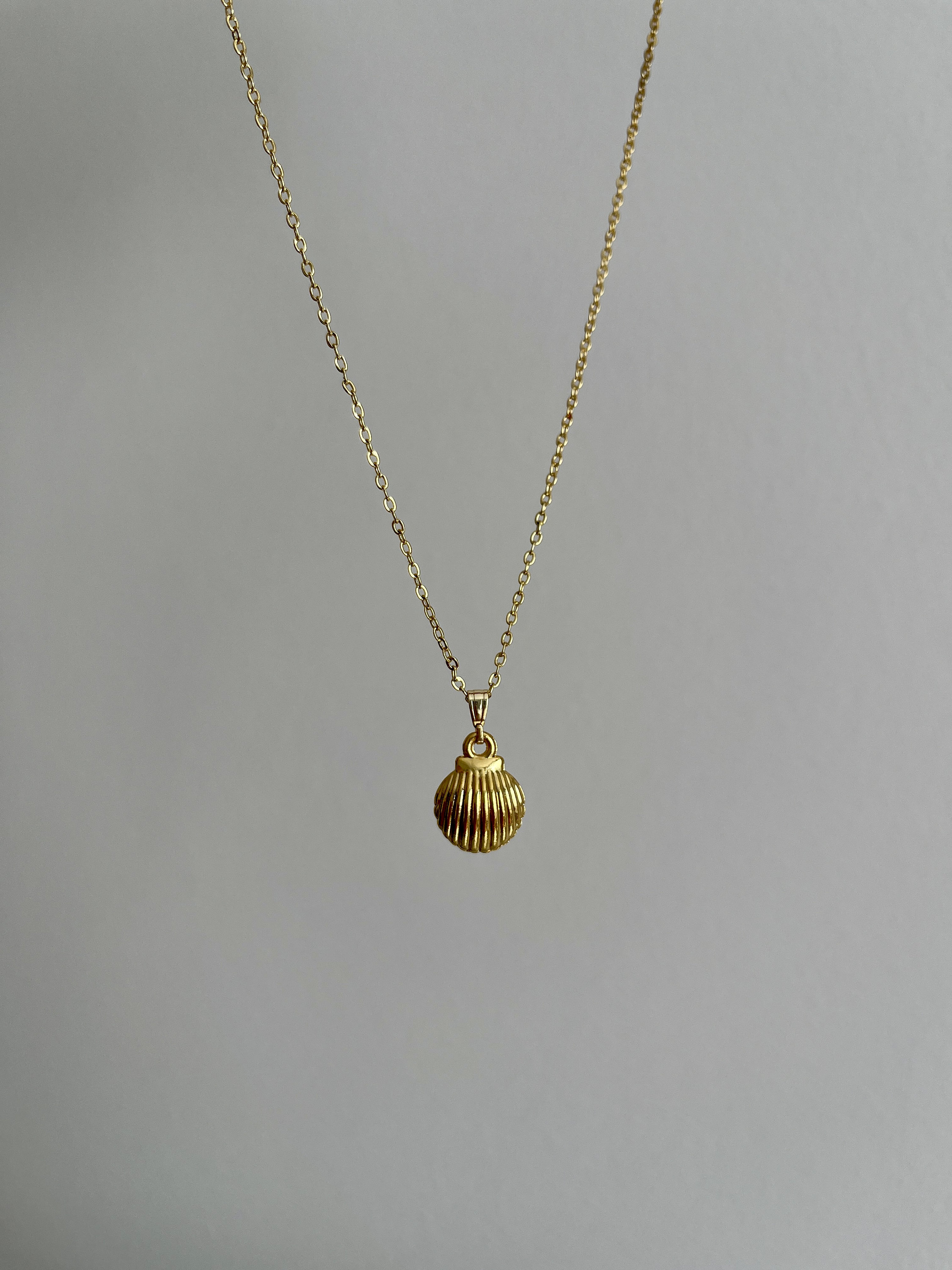 Oyster With Pearl Necklace, Clam Shell Necklace, Small Pearl Oyster ...