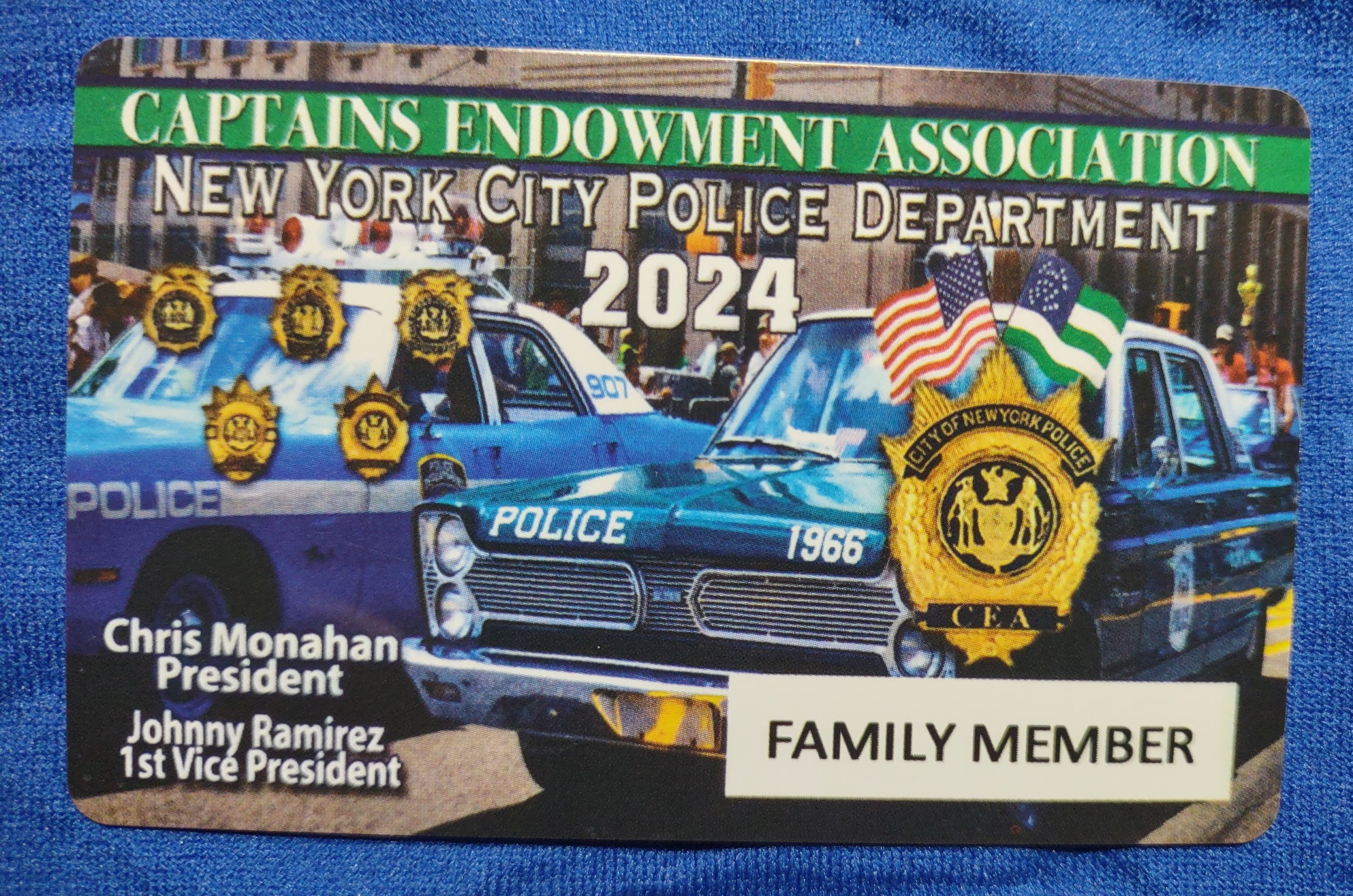 1 Brand New 2024 Cea Pba Dea Captain Card. - Etsy