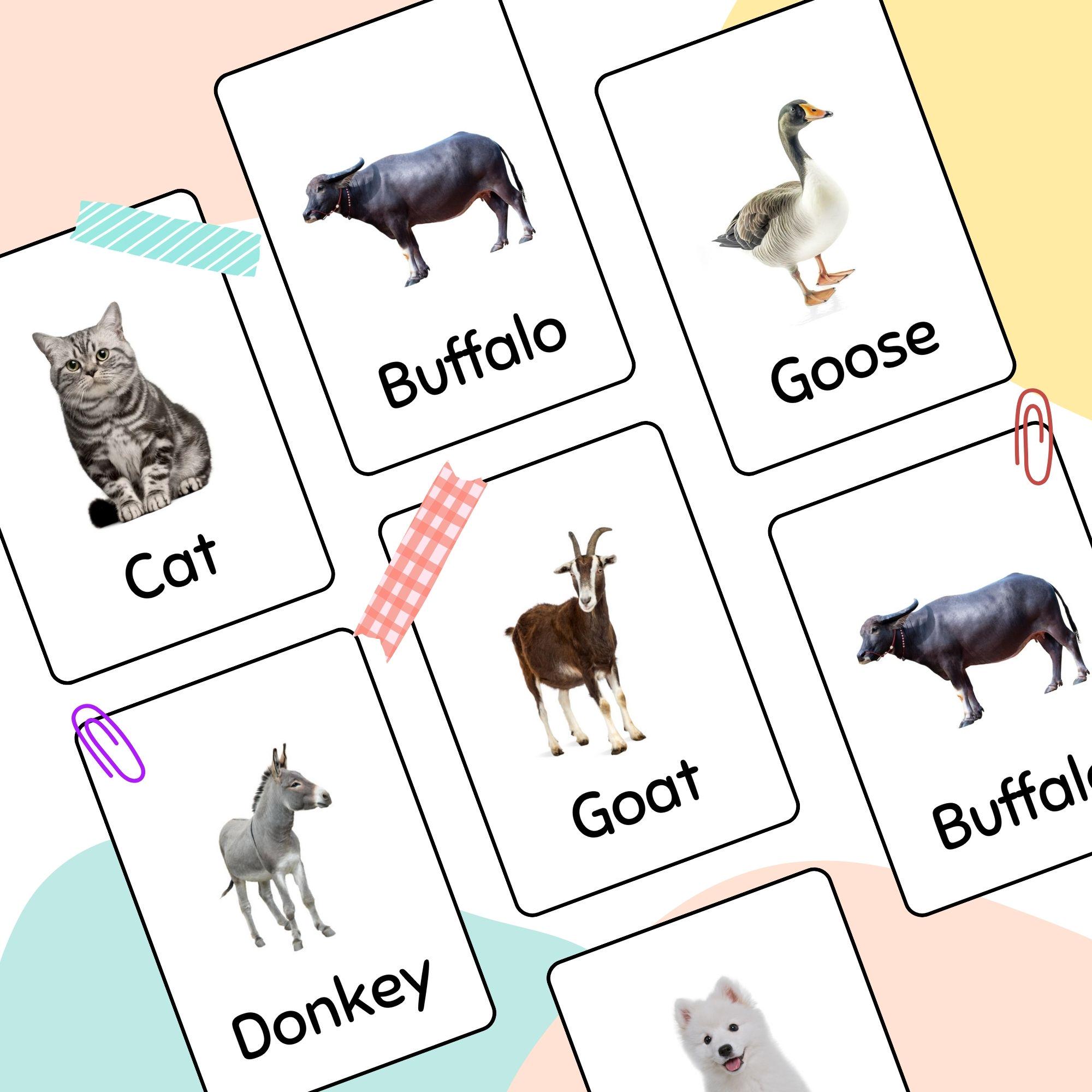 14 Farm Animals Flash Cards | Flashcards for Kids | Toddler Preschool ...