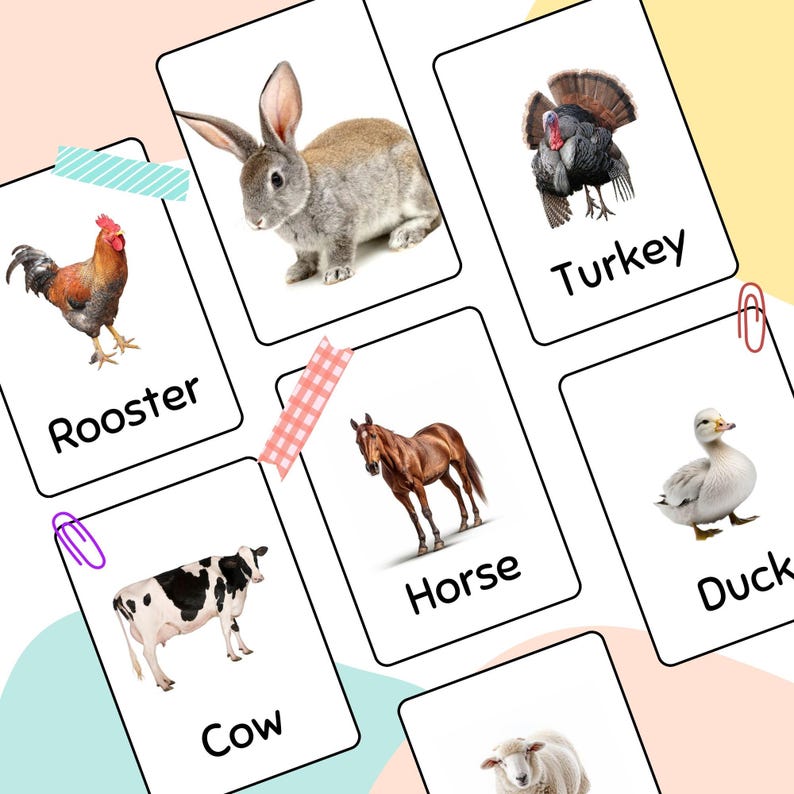 14 Farm Animals Flash Cards | Flashcards for Kids | Toddler Preschool ...