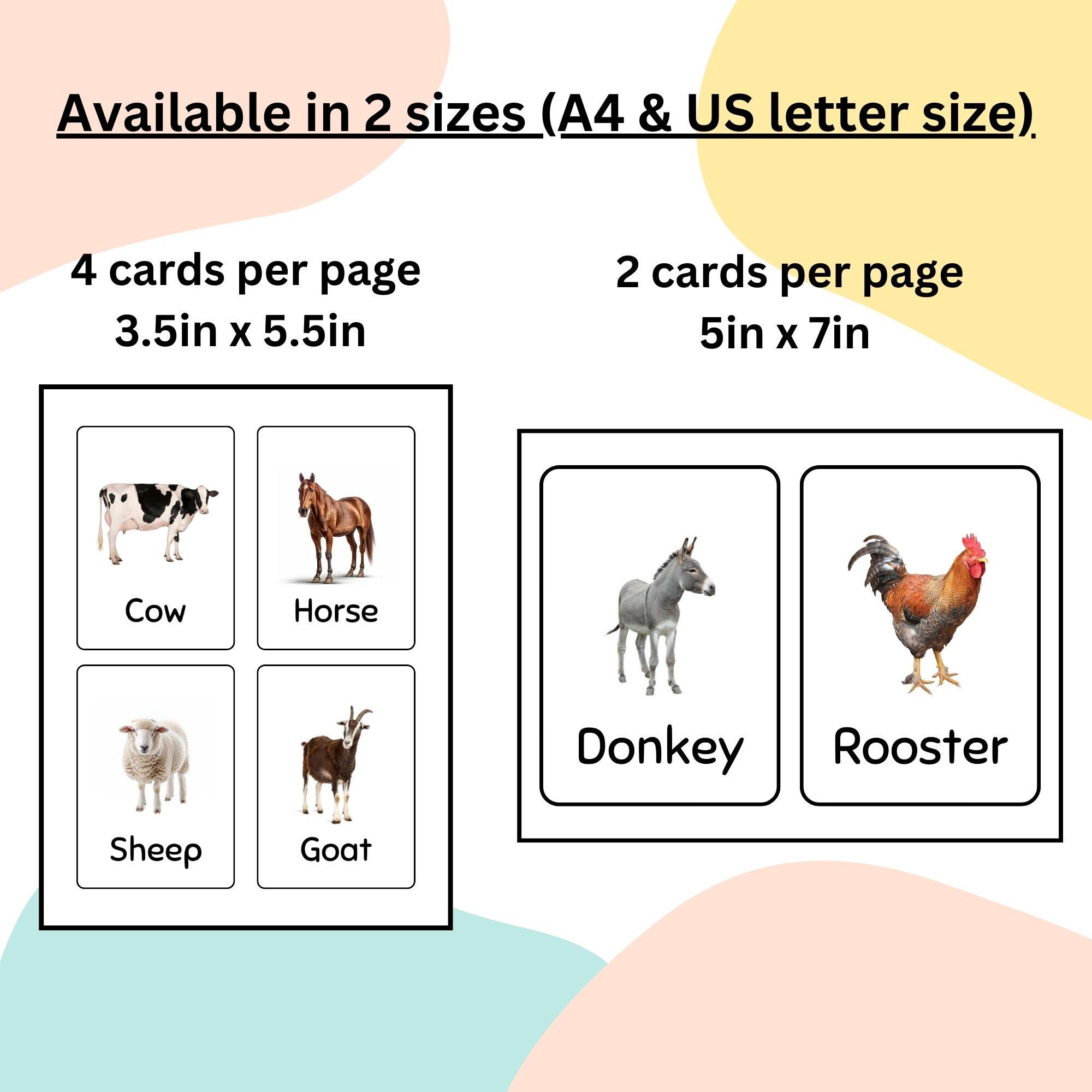 14 Farm Animals Flash Cards | Flashcards for Kids | Toddler Preschool ...