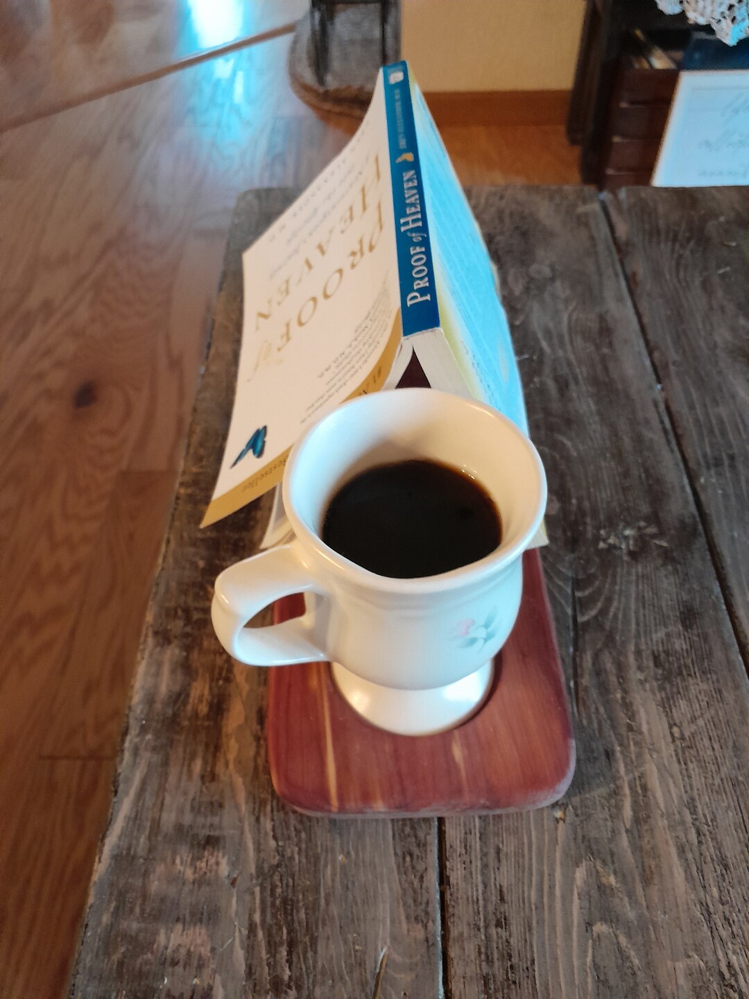 Book Buddy Book Caddy Book Reader Student Gift - Etsy