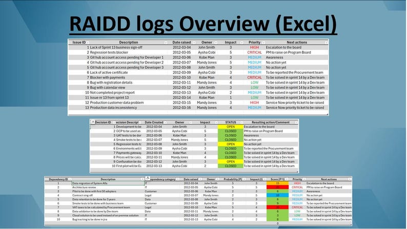 RAIDD Log, Risk, Assumption, Issue, Dependency, Decision - 3 Formats - Etsy