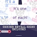It's a Girl Gender Reveal Escape Room: Ocean Theme (printable) - Etsy