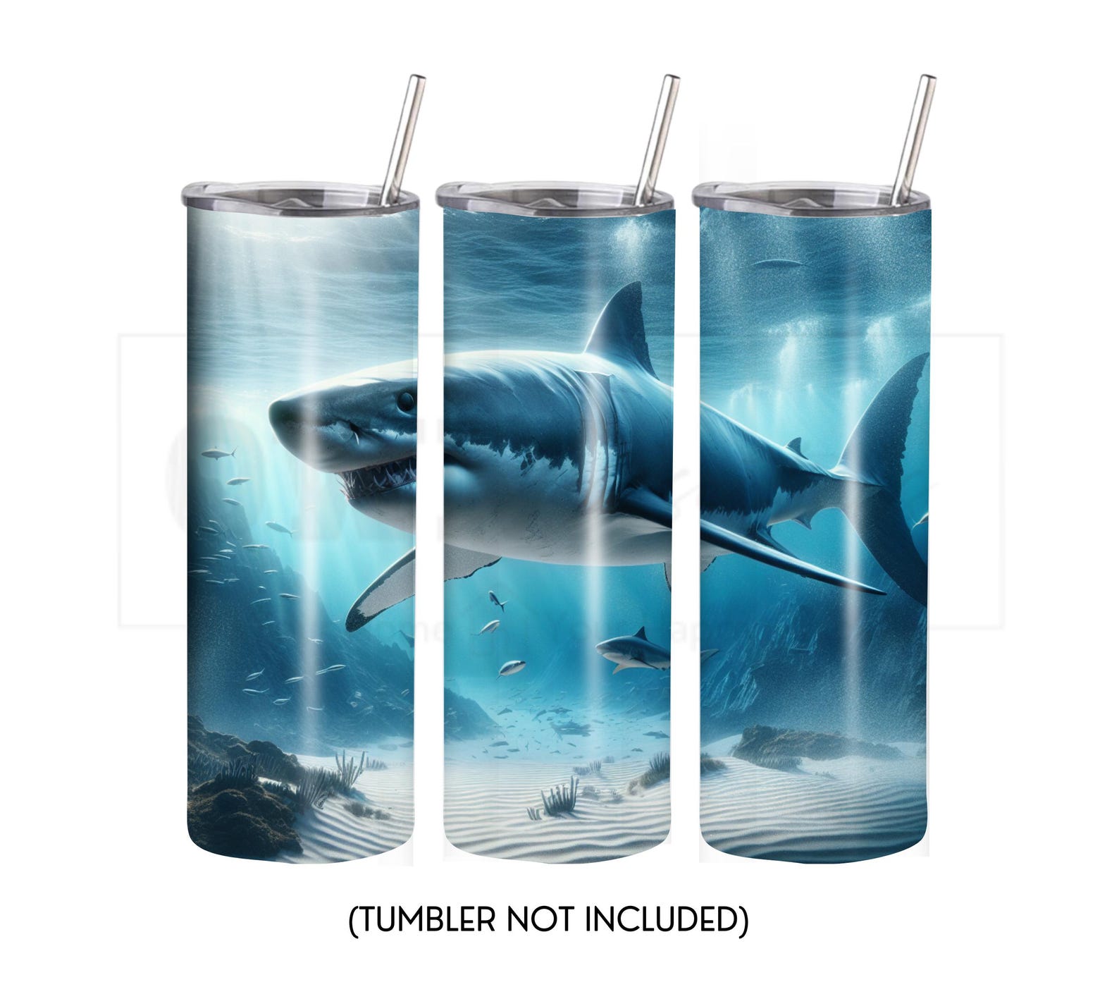 Shark 20 Oz Skinny Tumbler Sublimation Design - PNG Instant - DIGITAL ...