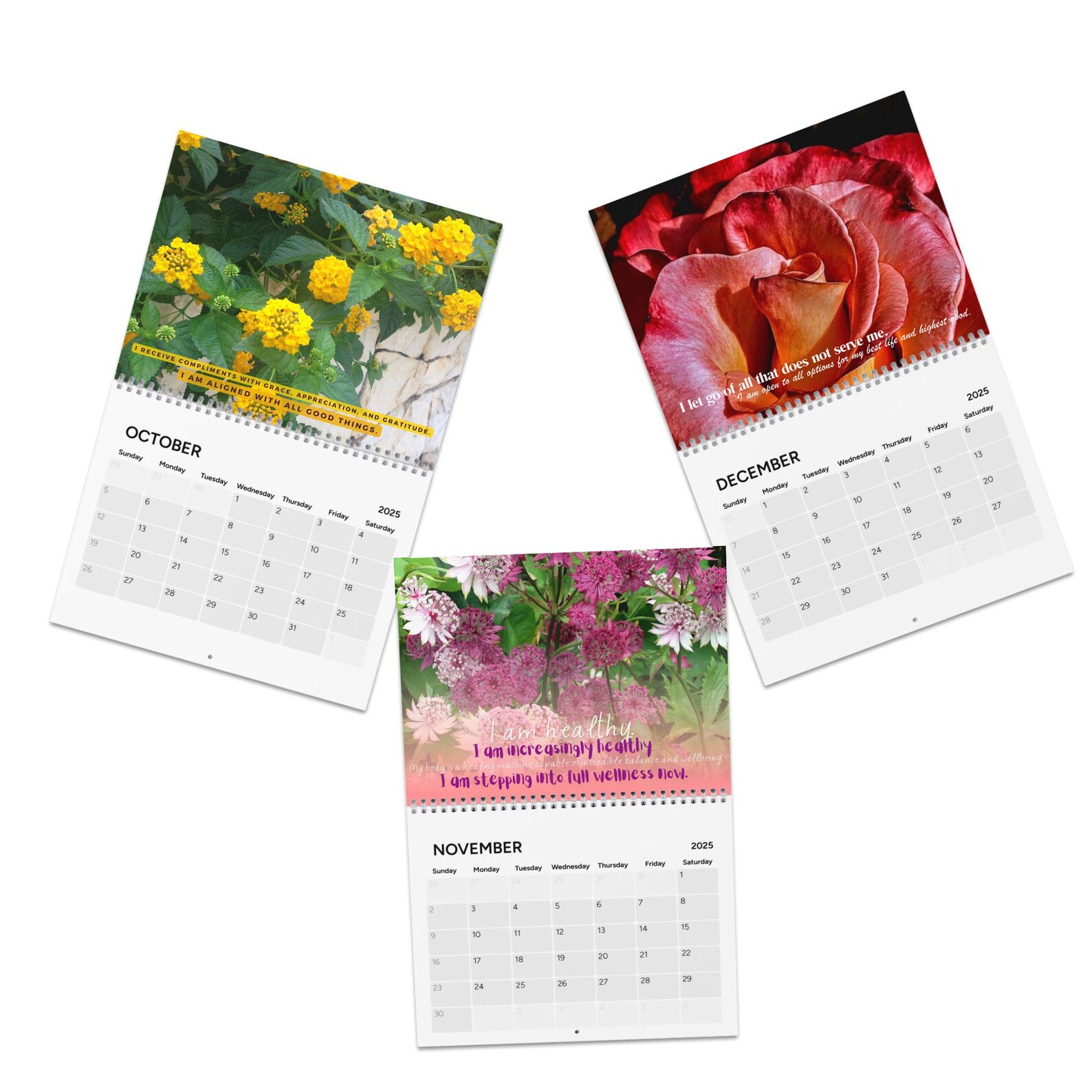 Affirmations Calendar 2025 Daily Abundance & Prosperity Mind Shift With ...