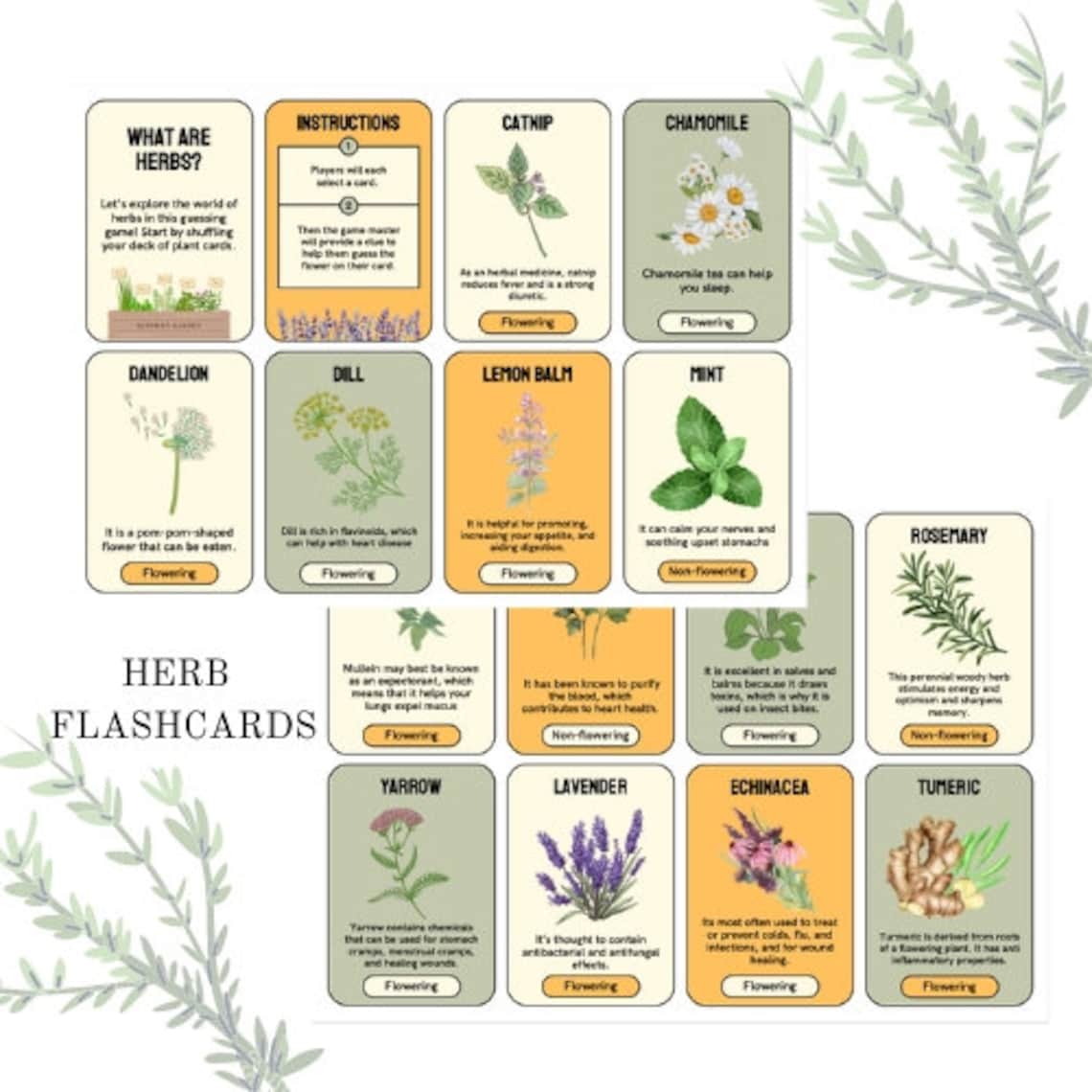 What Are Herbs Educational Flashcards for All Ages Herb Info Cards ...