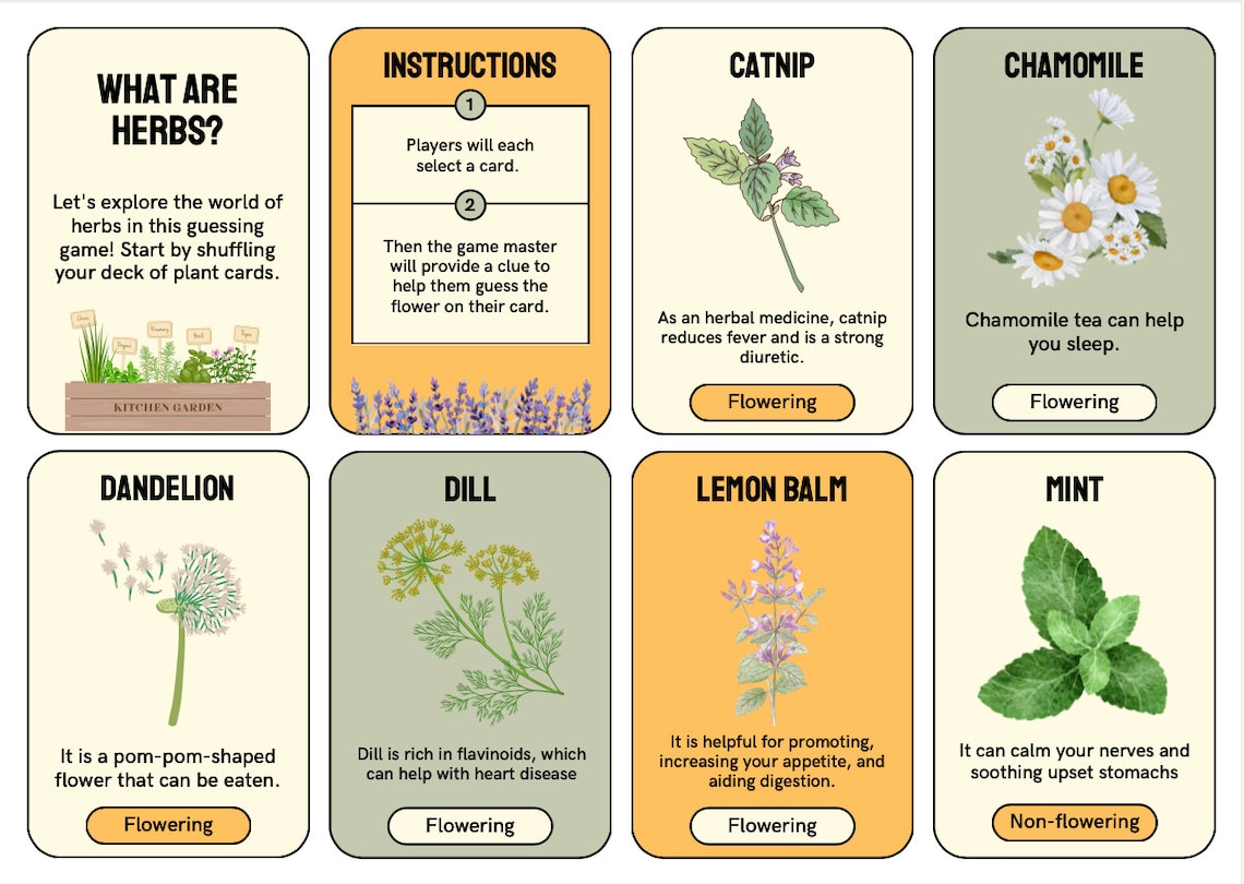 What Are Herbs Educational Flashcards for All Ages Herb Info Cards ...
