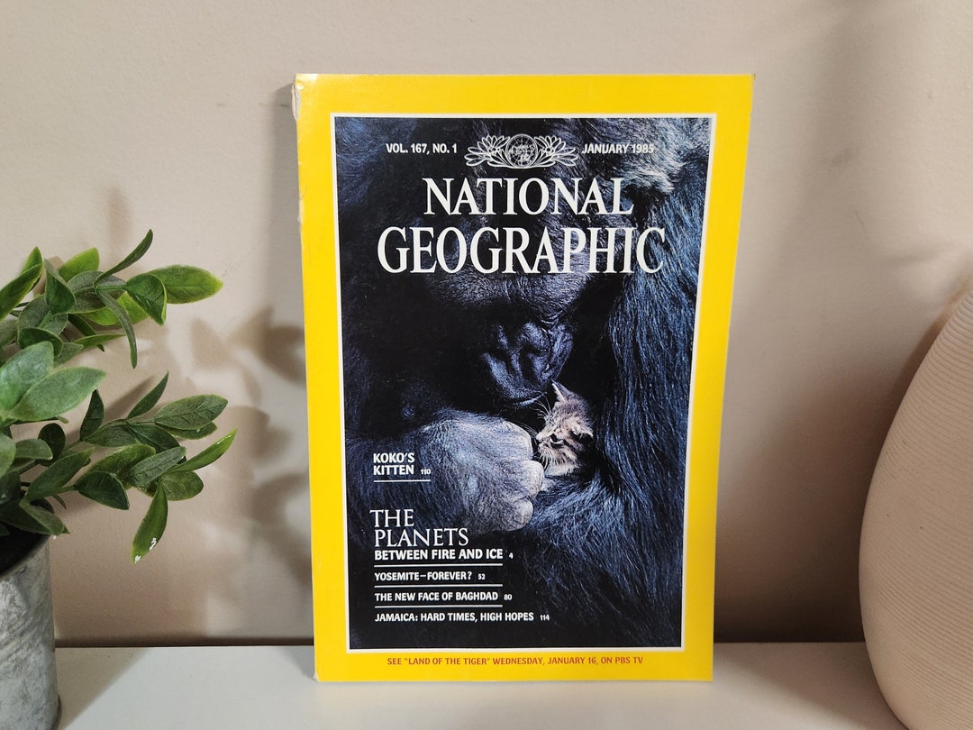 National Geographic Magazine Koko's Kitten, January 1985, the Planets ...