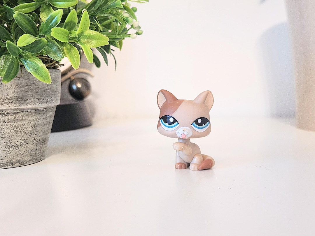 LPS Cat #1363 Licking Paw TAN BROWN W Blue Eyes Paw Up-littlest Pet ...