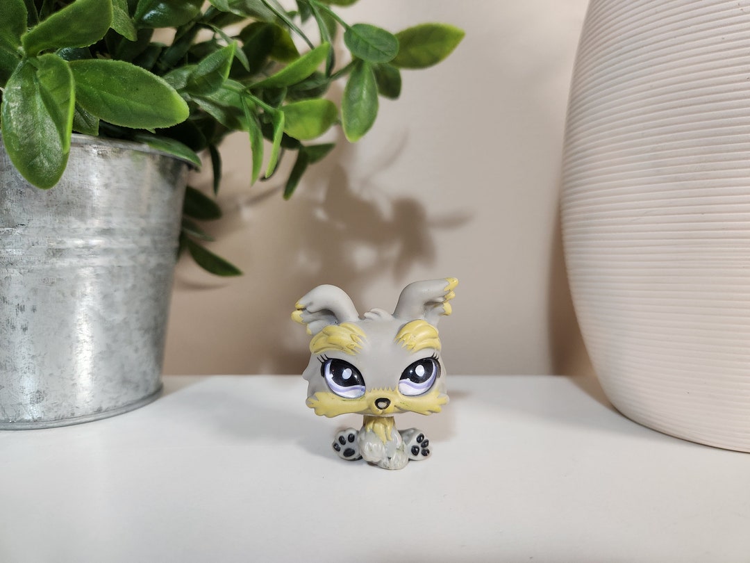 Littlest Pet Shop LPS Yorkie Terrier Dog Plastic Eyes - Etsy