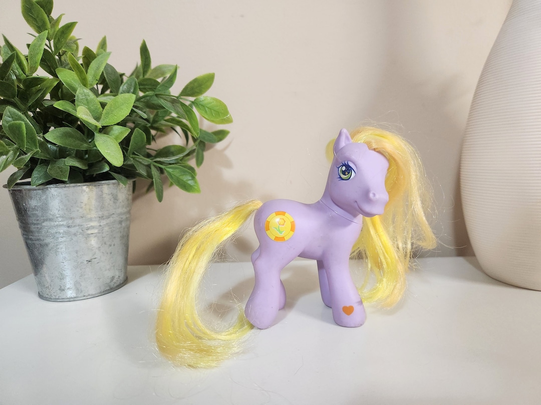 My Little Pony “daisy Jo” G3 Purple With Yellow Hair Flower Cutie Mark ...