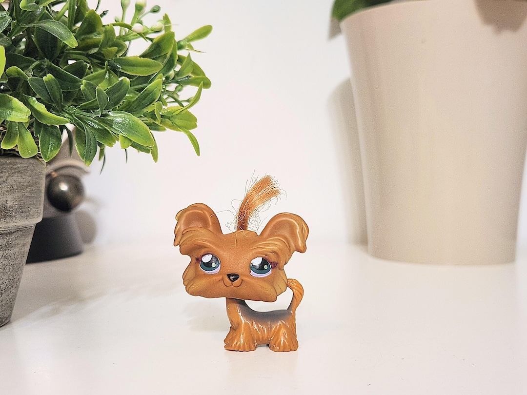 Littlest Pet Shop SHIH TZU Yorkie Puppy #6 W/ Brown Hair LPS Yorkshire ...