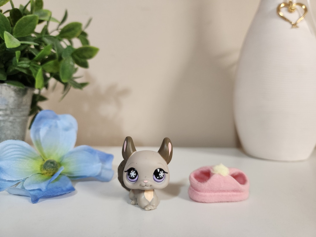 Littlest Pet Shop Chinchilla 687 With Hat Accessory | Gray Brown Purple ...