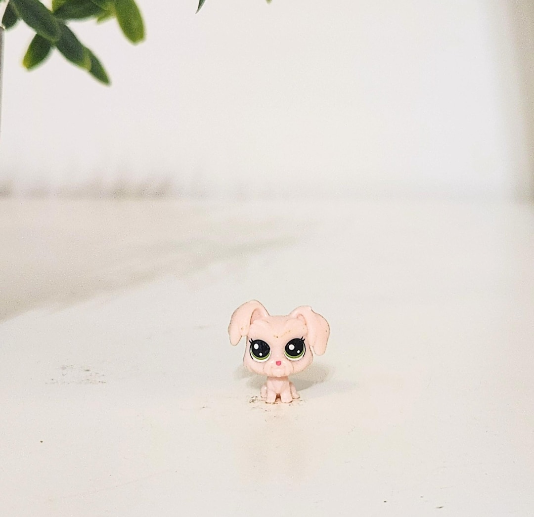 LPS Kiki Malteaser #1-114 Rare Mini Dog - Teeny Littlest Pet Shop ...