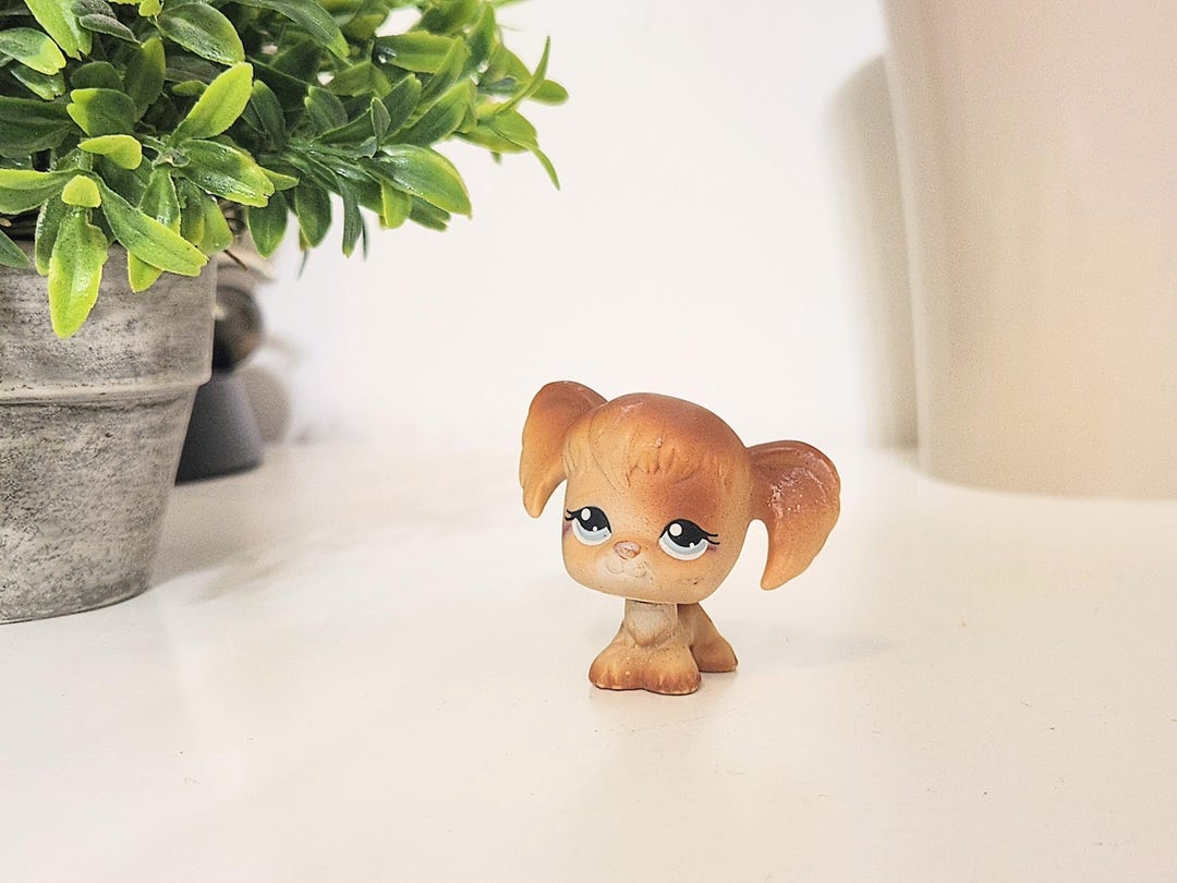 LPS #200 Springer Spaniel Dog Mocha Brown Blue Eyes Fluffy Hair ...