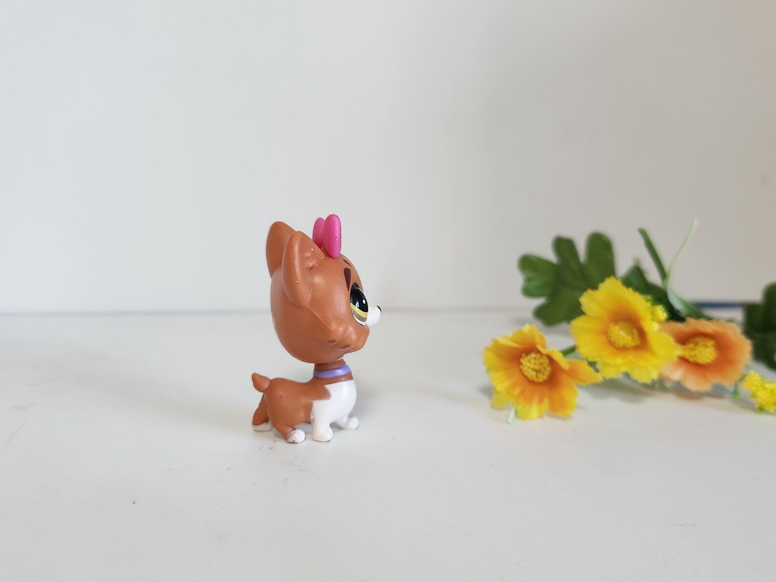 Littlest Pet Shop #3769 Corgi Dog Purple Collar Yellow Eyes Collectible ...
