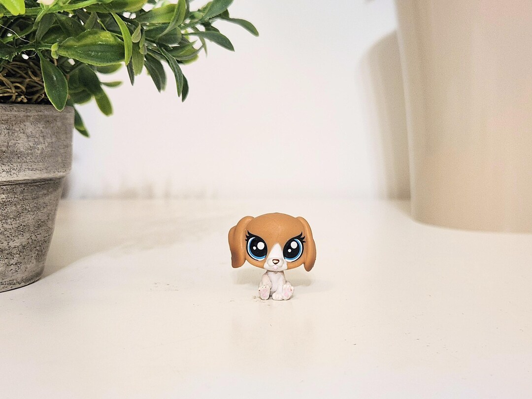 LPS Beagle #234 Busy Beagleton Brown & White Blue Eyes - Teeny Littlest ...