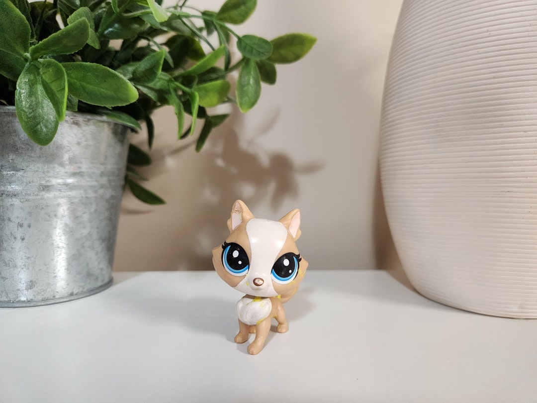 Madam Pom LEBLANC POMERANIAN Dog 248 - Littlest Pet Shop - Hasbro LPS ...