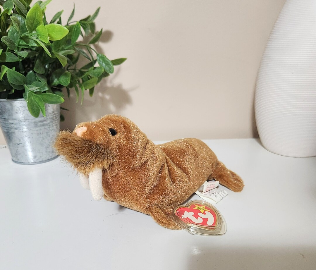 Ty Beanie Baby Paul the Brown Walrus (8in) - Etsy