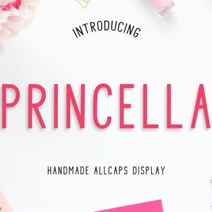 Princella Script Font, Handwritten Font, Branding Font, Wedding Font ...