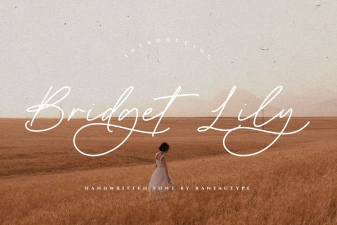 Bridget Lily Font, Modern Font, Handwritten Font, Personal Display Font ...