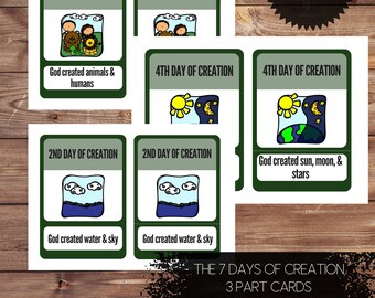 The Miracles of Jesus 3 Part Cards, Montessori 3 Part Cards, Bible ...