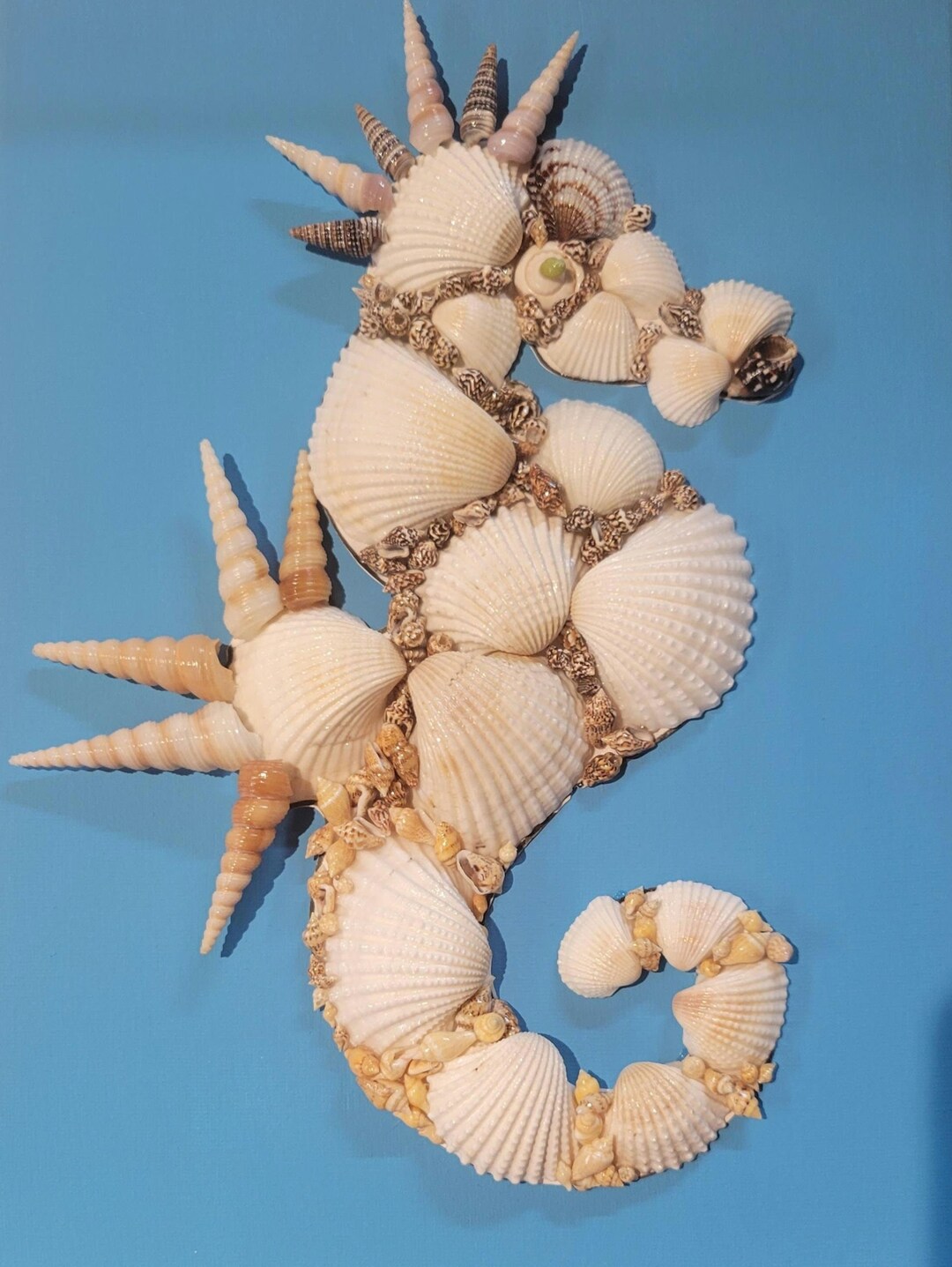 Seahorse Made of Shells - Etsy