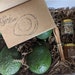 Avocado Toast Kit - Etsy