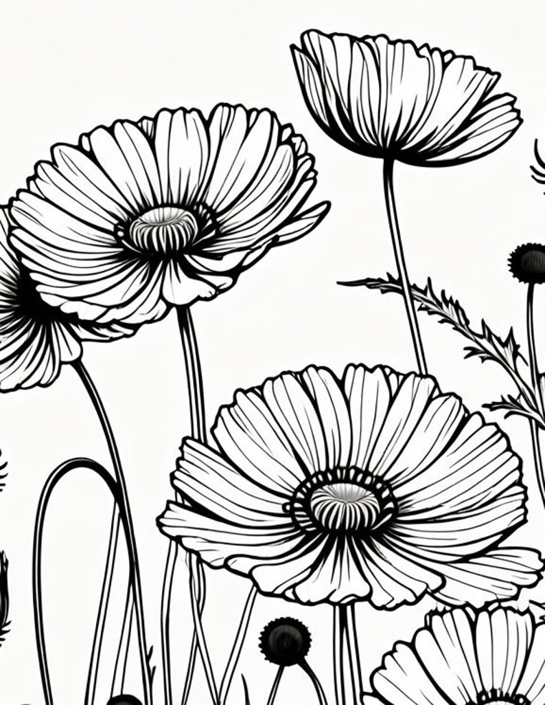 Floral Coloring Page, Summer Flower, Stress Relief, Botanical ...
