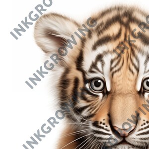 Nursery Wall Art Wild Animals Theme Baby Room Decor Set of 3 Unframed ...