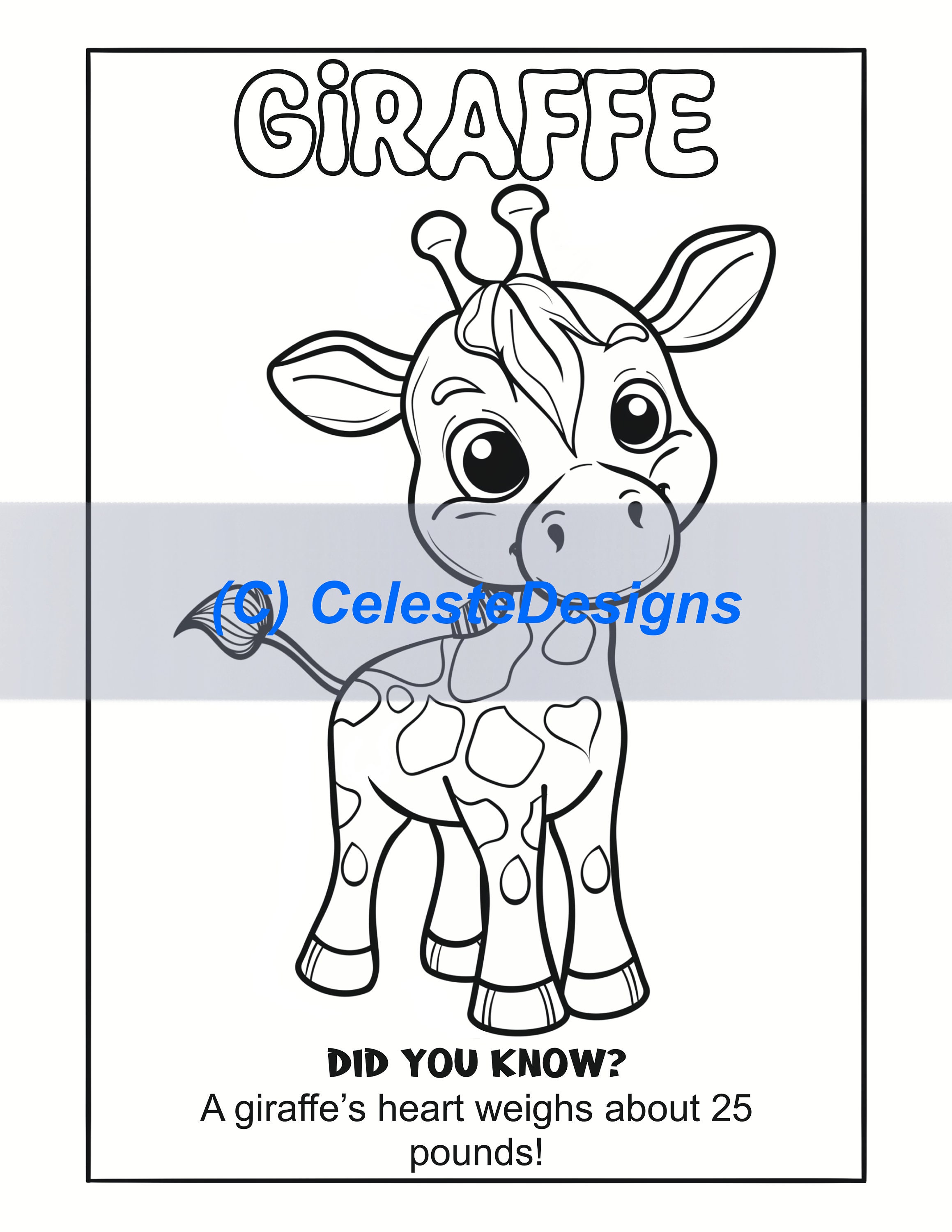 Animal Coloring Pages | for Kids | 50 Pages | 50 Fun Facts | Digital ...