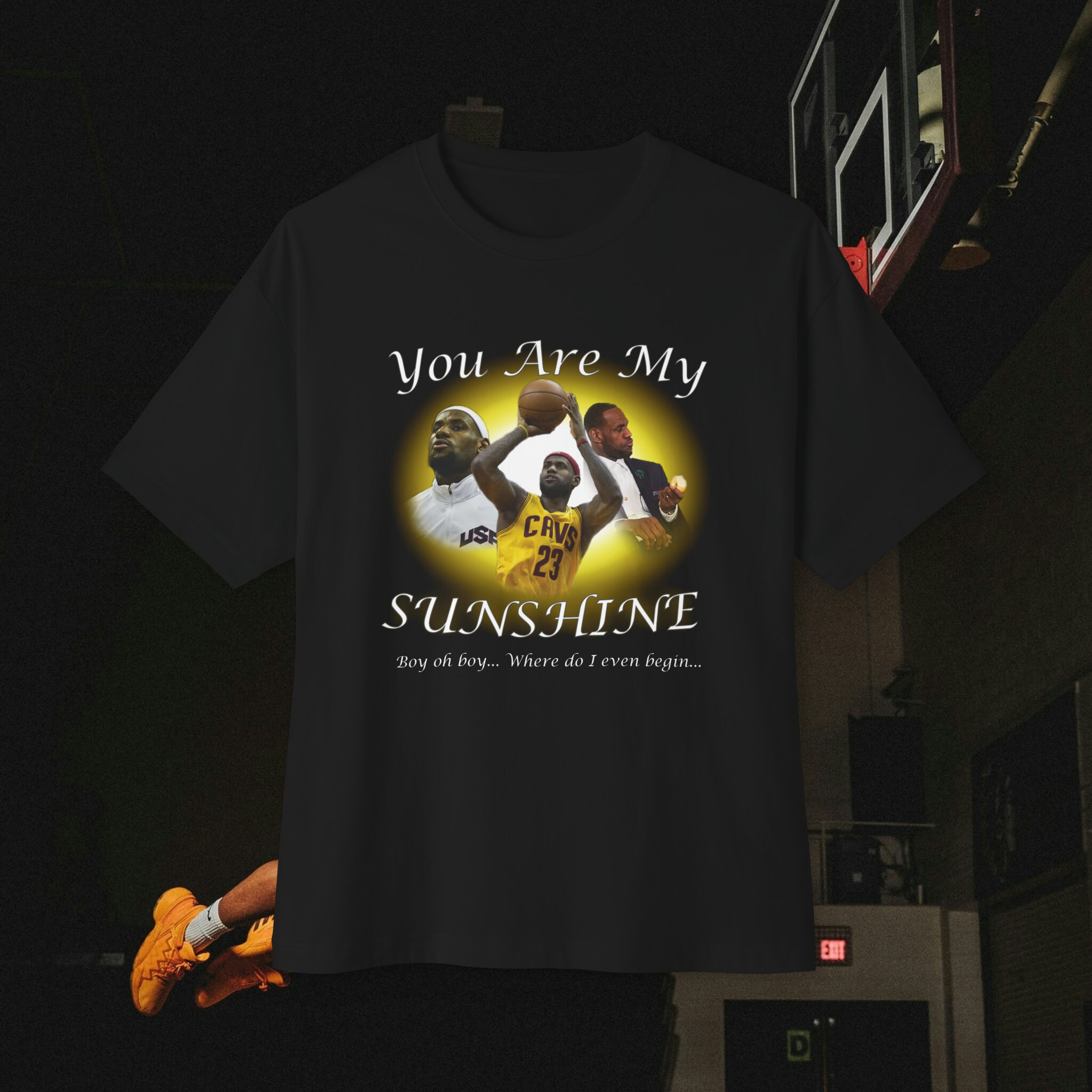 Lebron James You Are My Sunshine Tee, Funny NBA Graphic Tee, NBA ...